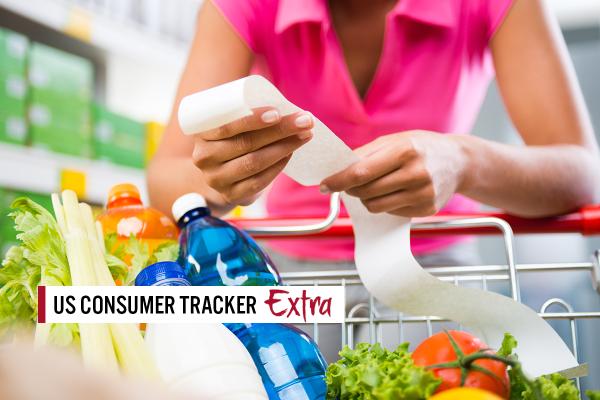 The Impact of Debt and Financial Security on Shopping Habits: US ...